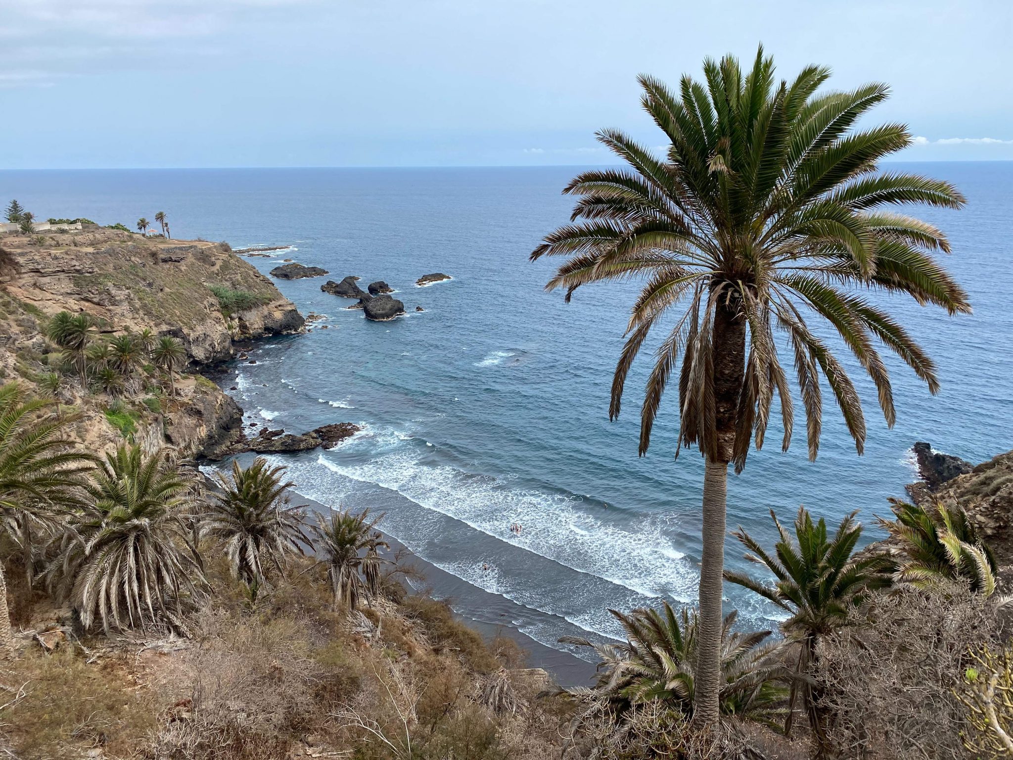Cosa vedere a Tenerife: tutto quello che devi sapere - Esotica Travel