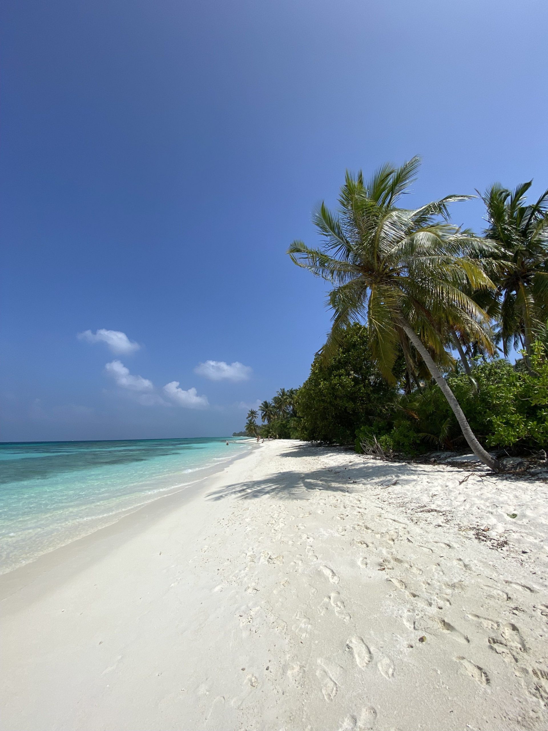Maldive: tutto quello che devi sapere