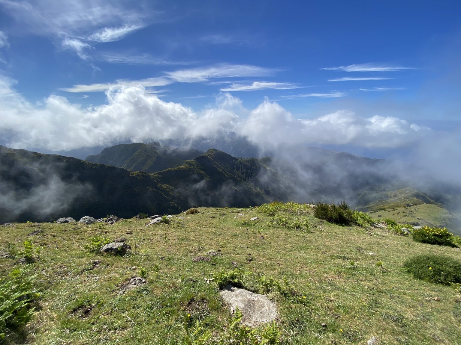 Cosa vedere a Madeira: tutto quello che devi sapere - Esotica Travel