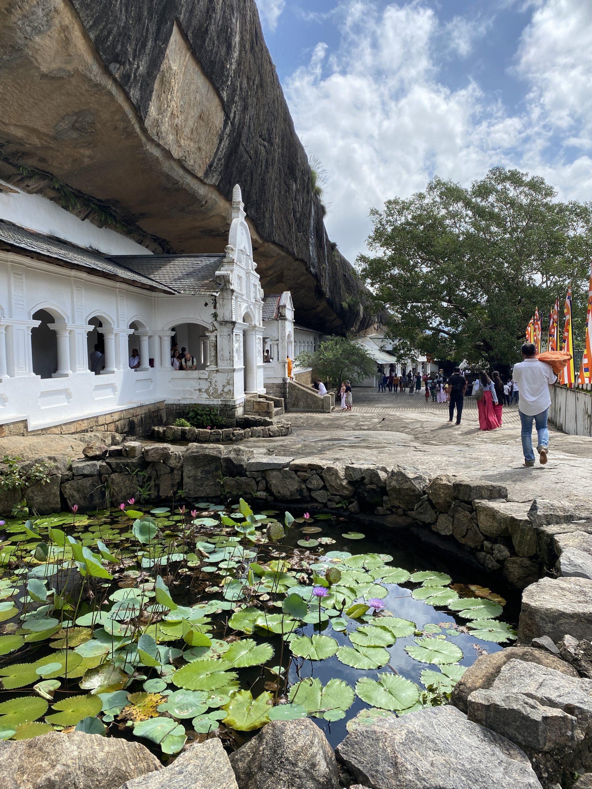 Cosa vedere a Dambulla: tutto quello che devi sapere - Esotica Travel