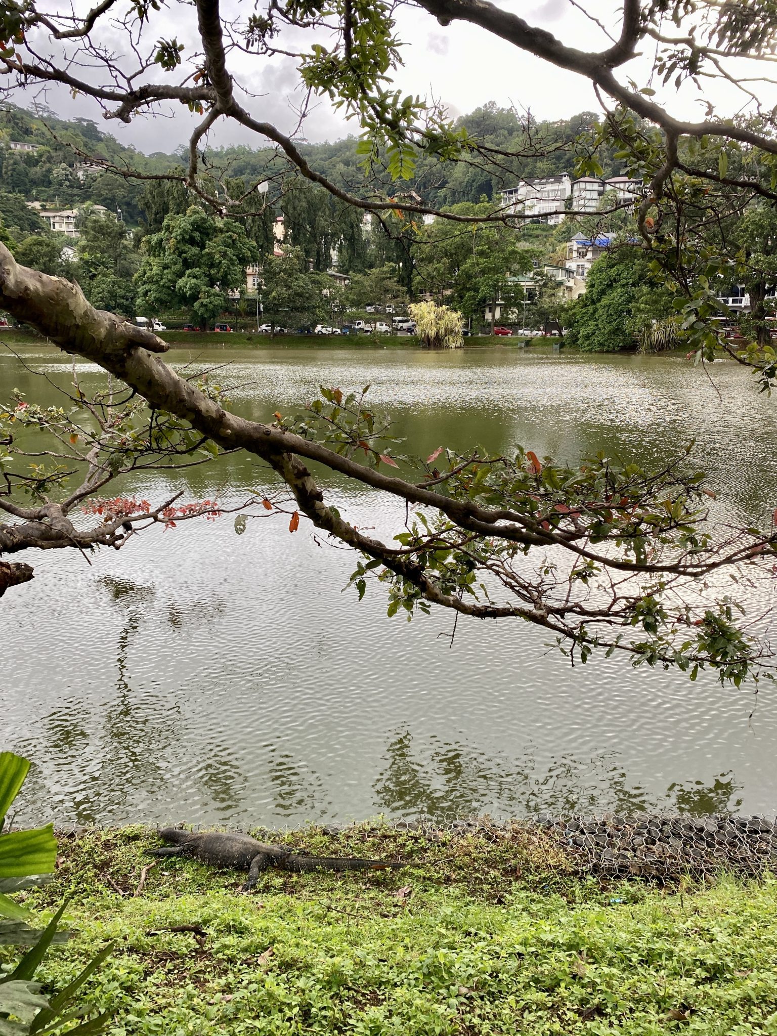 Cosa vedere a Kandy: tutto quello che devi sapere - Esotica Travel
